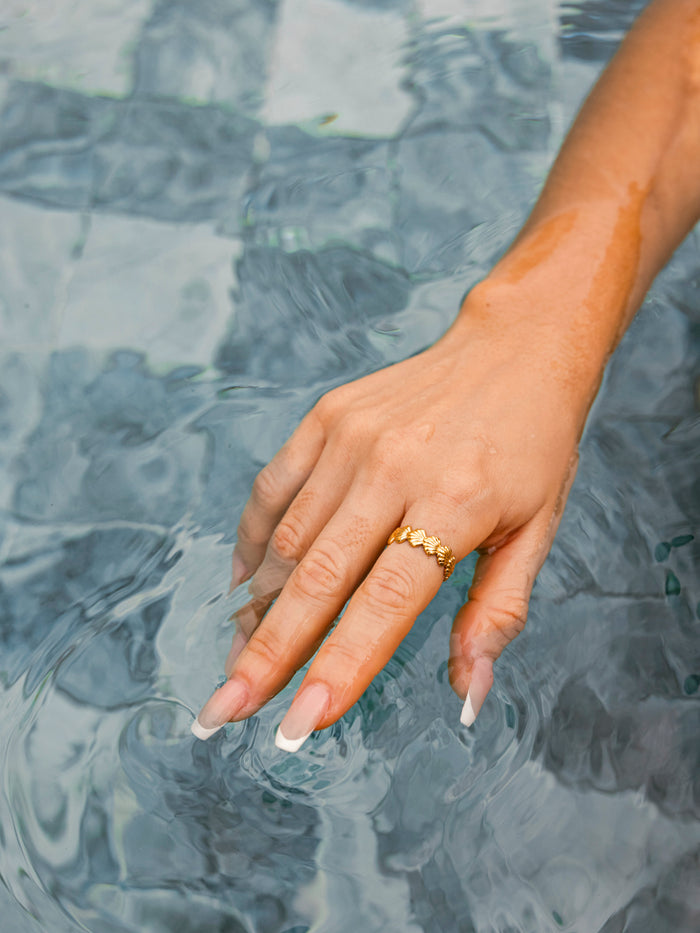 ICRUSH - Shell Radiance Ring | ICRUSH