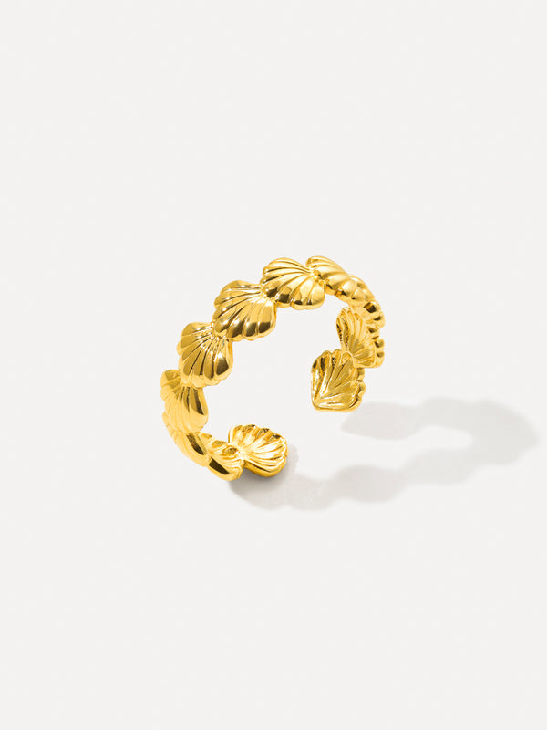 ICRUSH - Shell Radiance Ring | ICRUSH